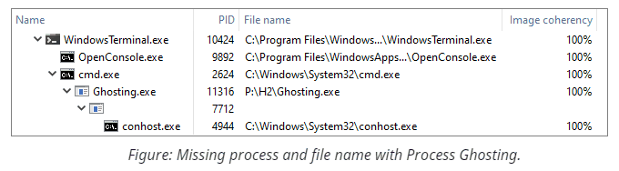 Concealed code execution: Techniques and detection