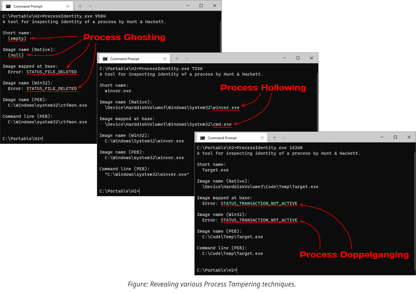 Concealed code execution: Techniques and detection