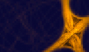 Detecting targeted attacks | White paper