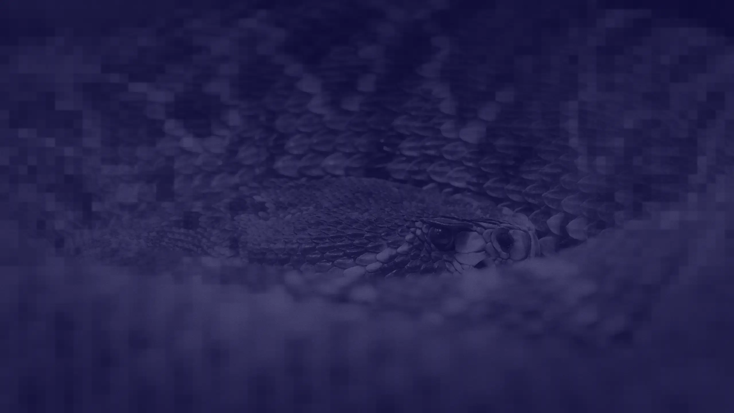 Concealed code execution: Techniques and detection